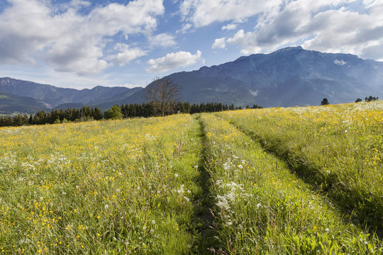 Gailtal Bilder – Durchsuchen 1,300 Archivfotos, Vektorgrafiken und ...