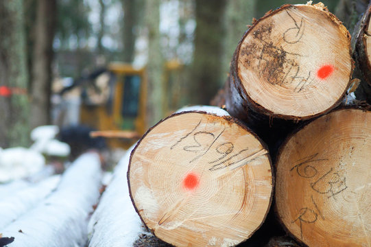 「Umelt」の画像 - 72 件の Stock 写真、ベクターおよびビデオ | Adobe Stock