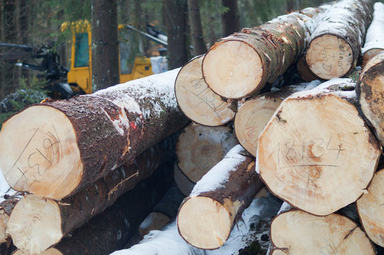 「Umelt」の画像 - 72 件の Stock 写真、ベクターおよびビデオ | Adobe Stock