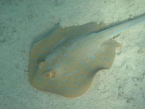 Trigone Images – Browse 98 Stock Photos, Vectors, and Video | Adobe Stock