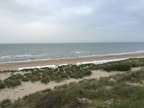 Haan Images – Browse 659 Stock Photos, Vectors, and Video | Adobe Stock