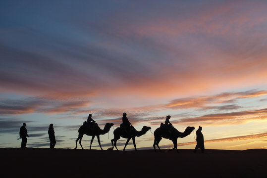 Karawane - Images et vidéos libres de droits | Adobe Stock