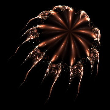 「Scyphomedusae」の写真素材 | 13件の無料イラスト画像 | Adobe Stock