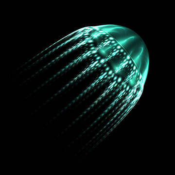 「Scyphomedusae」の写真素材 | 13件の無料イラスト画像 | Adobe Stock