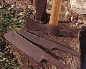 Merlin photos, royalty-free images, graphics, vectors & videos | Adobe ...