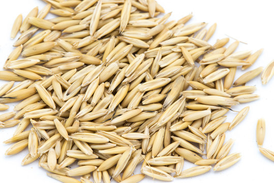 Cayuse Images – Browse 39 Stock Photos, Vectors, and Video | Adobe Stock