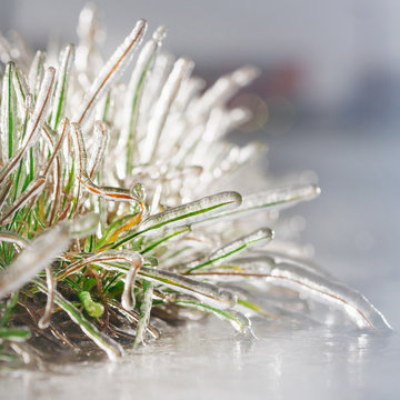 Sleet Images – Browse 24,345 Stock Photos, Vectors, and Video | Adobe Stock