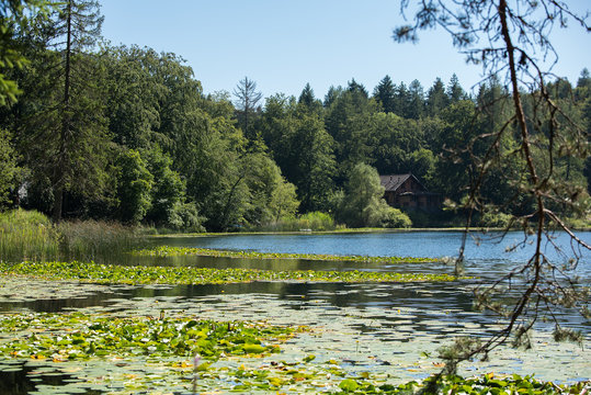 "Nymph Lake" Bilder – Durchsuchen 226 Archivfotos, Vektorgrafiken und ...