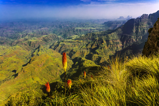 "Simien Images – Browse 5,111 Stock Photos, Vectors, and Video | Adobe ...