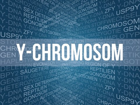 Imágenes de Gonosom: descubre bancos de fotos, ilustraciones, vectores ...