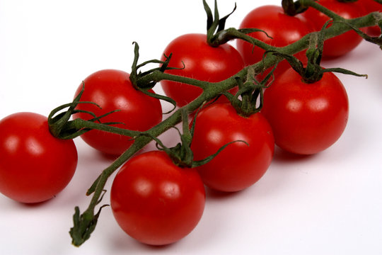 Tomatenstaude Bilder – Durchsuchen 394 Archivfotos, Vektorgrafiken und ...