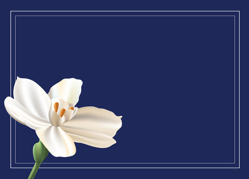 Blue Funeral Background