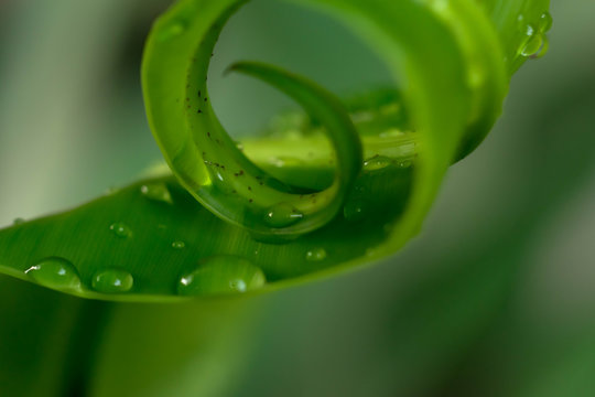 Fotolia - Images et vidéos libres de droits | Adobe Stock