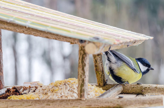 รูปภาพFlit – เลือกดูภาพถ่ายสต็อก เวกเตอร์ และวิดีโอ5,206 | Adobe Stock