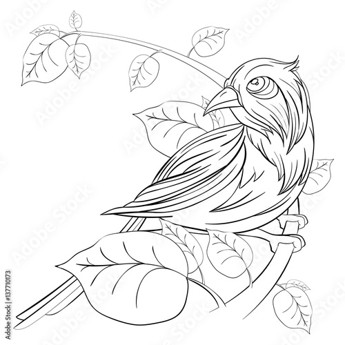 "Exotic bird sitting on a branch with leaves on white background ...