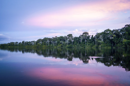 Rio Amazonas Fauna
