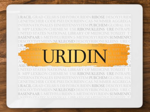 Nukleinbase Images – Browse 26 Stock Photos, Vectors, and Video | Adobe ...