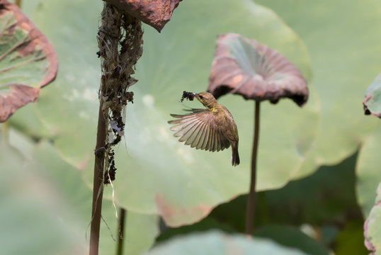 Tamsi Images – Browse 23 Stock Photos, Vectors, and Video | Adobe Stock