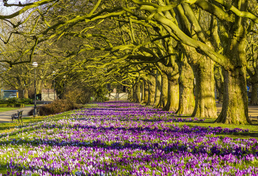 รูปภาพHarrogate – เลือกดูภาพถ่ายสต็อก เวกเตอร์ และวิดีโอ2,111 | Adobe Stock