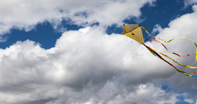 Acquilone Images – Browse 44 Stock Photos, Vectors, and Video | Adobe Stock