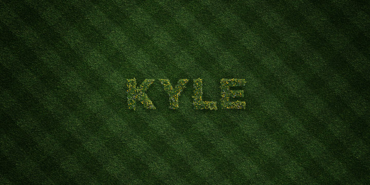 รูปภาพKyle – เลือกดูภาพถ่ายสต็อก เวกเตอร์ และวิดีโอ1,510 | Adobe Stock