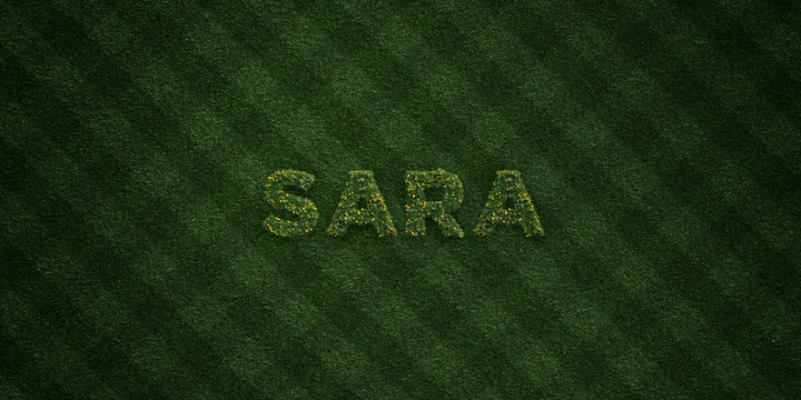 รูปภาพSara – เลือกดูภาพถ่ายสต็อก เวกเตอร์ และวิดีโอ1,455 | Adobe Stock