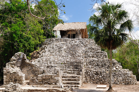 Courd bilder – Bläddra bland 34 stockfoton, vektorer och videor | Adobe ...