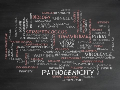 「Pathogenicity」の写真素材 | 615件の無料イラスト画像 | Adobe Stock