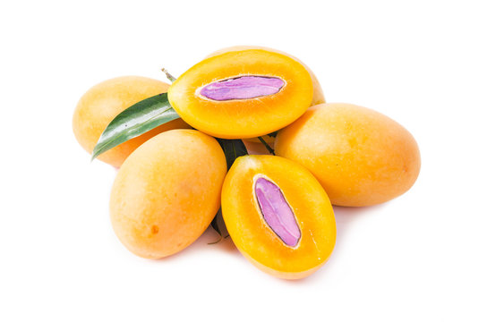 Marian Images – Browse 9,583 Stock Photos, Vectors, and Video | Adobe Stock