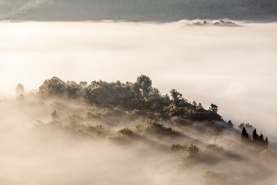 Sandra Lambert photos, images, assets | Adobe Stock