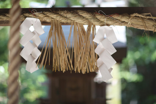 Shide Billeder – Gennemse 1,761 stockfotos, vektorer og videoer | Adobe ...