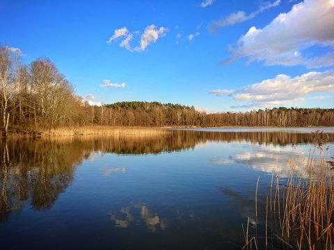 Slonce-Bilder: Stock-Fotos & -Videos. | Adobe Stock