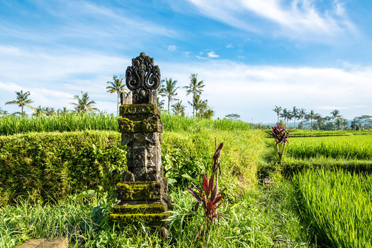 Sanggah Images – Browse 47 Stock Photos, Vectors, and Video | Adobe Stock