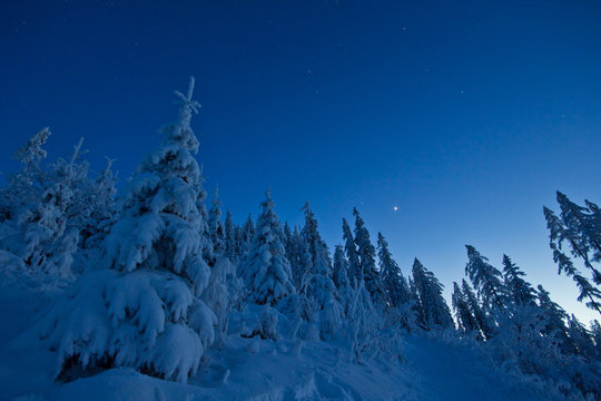 Kitschig bilder – Bläddra bland 2,771 stockfoton, vektorer och videor ...