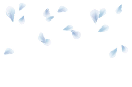 Falling Blue Rose Petals Gif