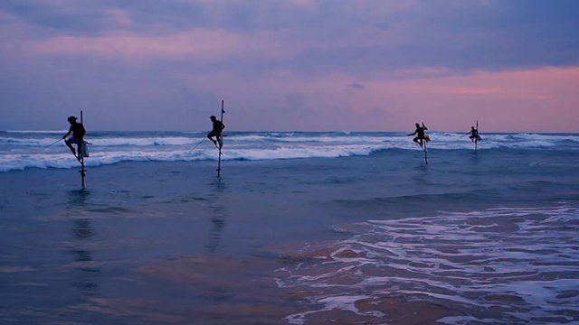 Stilt Images – Browse 61,088 Stock Photos, Vectors, and Video | Adobe Stock