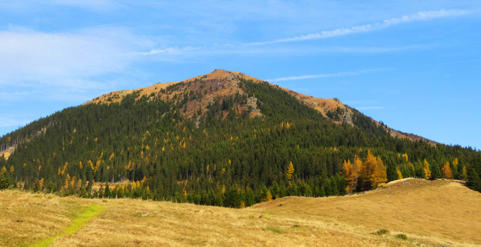 Rappold Images – Browse 14 Stock Photos, Vectors, and Video | Adobe Stock