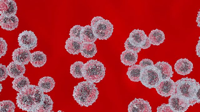 Macrocyte bilder – Bläddra bland 259 stockfoton, vektorer och videor ...