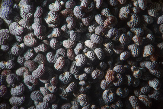 Opiate bilder – Bläddra bland 11,044 stockfoton, vektorer och videor ...