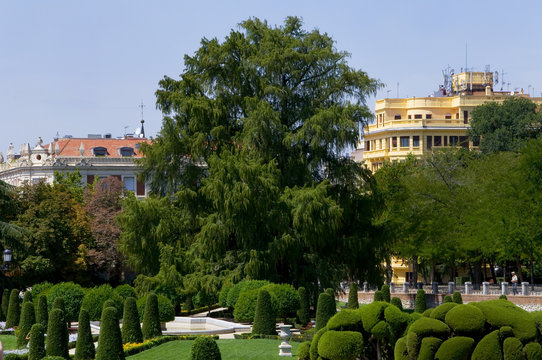 Ahuehuete Bilder – Durchsuchen 239 Archivfotos, Vektorgrafiken und ...