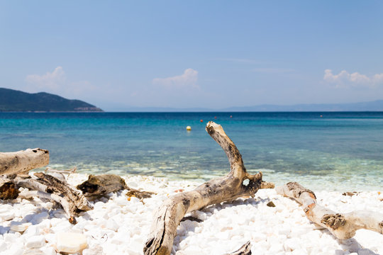 Ranta Images – Browse 43 Stock Photos, Vectors, and Video | Adobe Stock