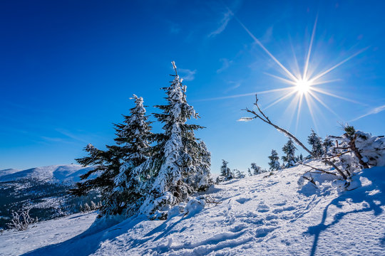 Winterscape Images – Browse 1,506 Stock Photos, Vectors, and Video ...