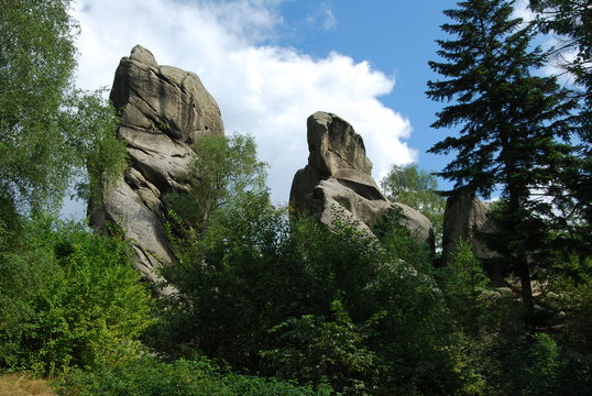 รูปภาพBombycidae – เลือกดูภาพถ่ายสต็อก เวกเตอร์ และวิดีโอ210 | Adobe Stock