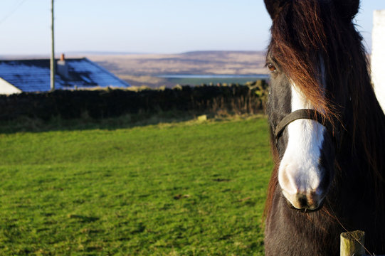 Fleek Images – Browse 53 Stock Photos, Vectors, and Video | Adobe Stock