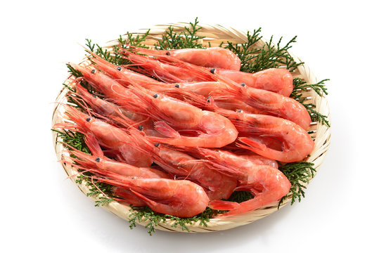 "Queen Prawns" Bilder – Durchsuchen 128,286 Archivfotos, Vektorgrafiken ...