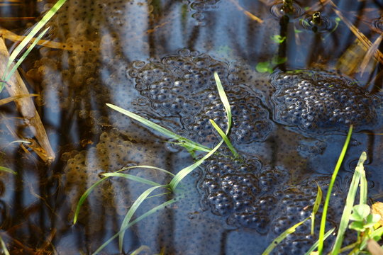 507 BÄSTA BILDERNA, STOCKFOTONA OCH VEKTORBILDERNA MED BESKRIVNINGEN ...
