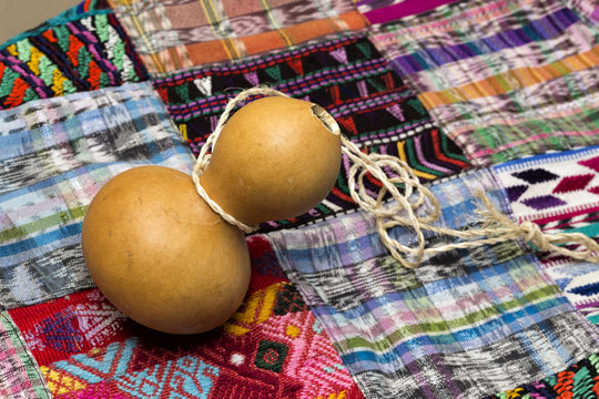 รูปภาพTecomate – เลือกดูภาพถ่ายสต็อก เวกเตอร์ และวิดีโอ16 | Adobe Stock