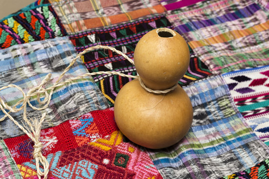 Tecomate Images – Browse 33 Stock Photos, Vectors, and Video | Adobe Stock