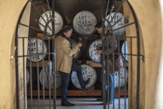 รูปภาพ"Taze – เลือกดูภาพถ่ายสต็อก เวกเตอร์ และวิดีโอ10,579 | Adobe Stock