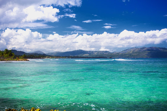 Natu Images – Browse 1,522 Stock Photos, Vectors, and Video | Adobe Stock